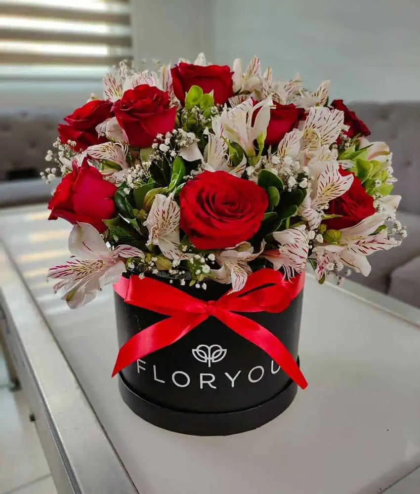 Caja: 8 rosas rojas & astromelia |Carmín| Flores a domicilio Floryou®